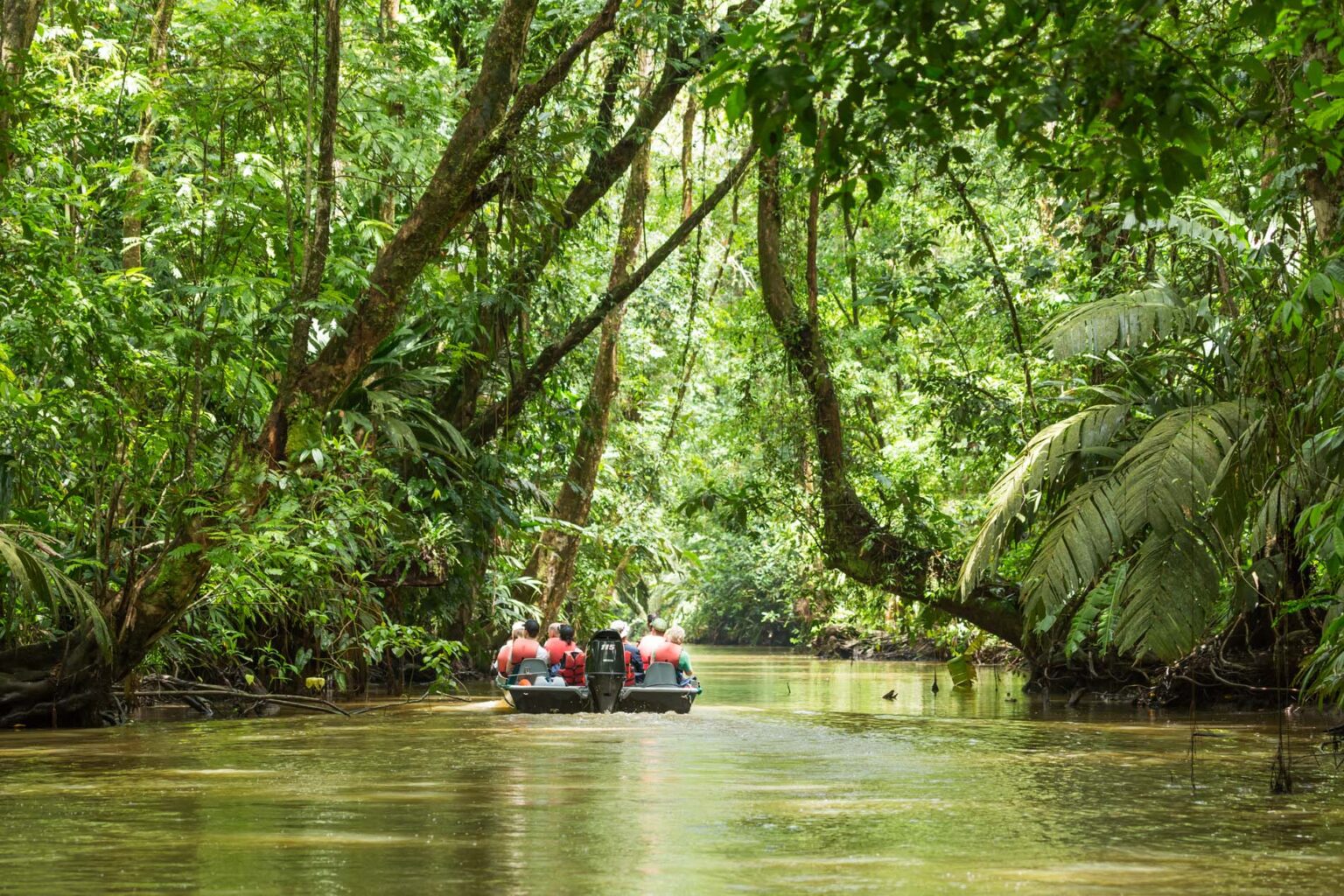 Travel Agents Specializing in Unique Vacations | Fox World Travel