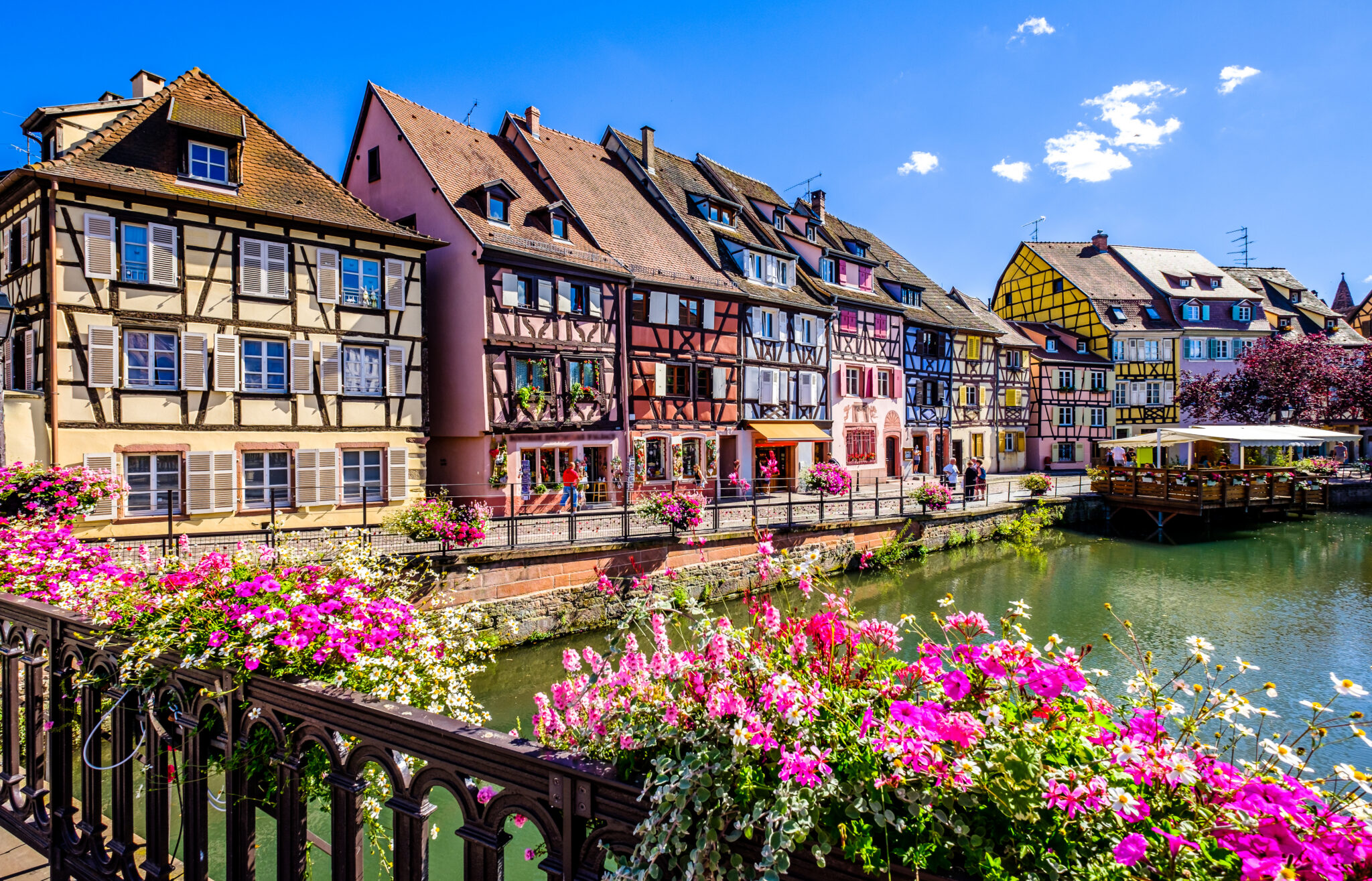 Fox Group Vacations | Fox World Travel